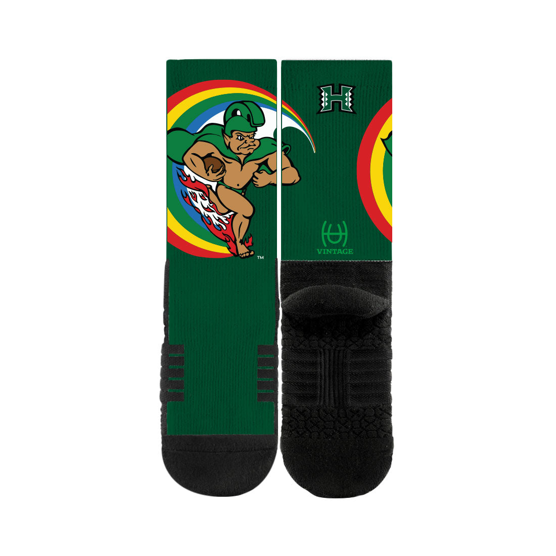 University of Hawaii | Premium Full Sub | Mascot | N02338256ML ...