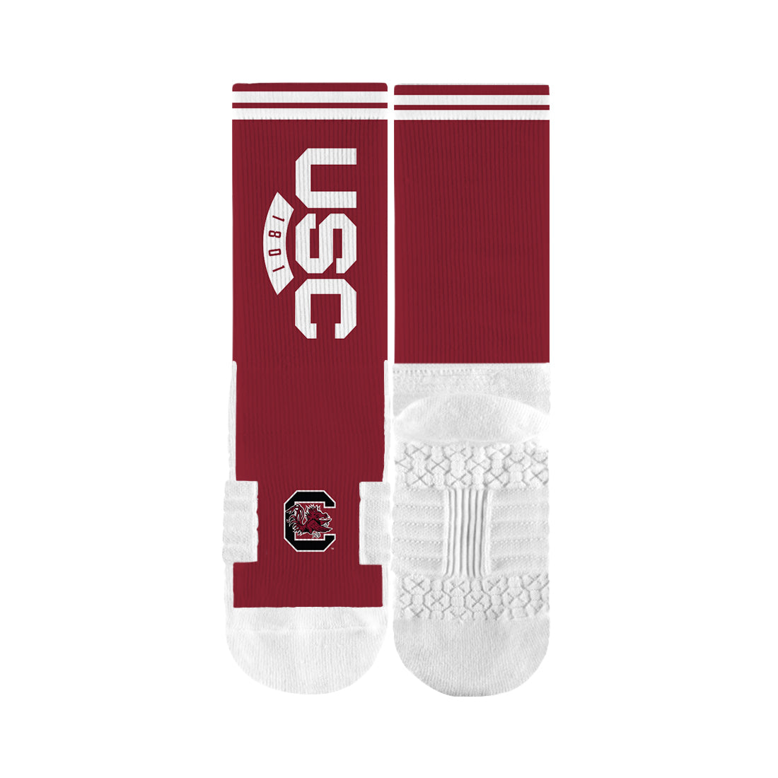 University of South Carolina | Premium Full Sub | Script | N02417803ML ...